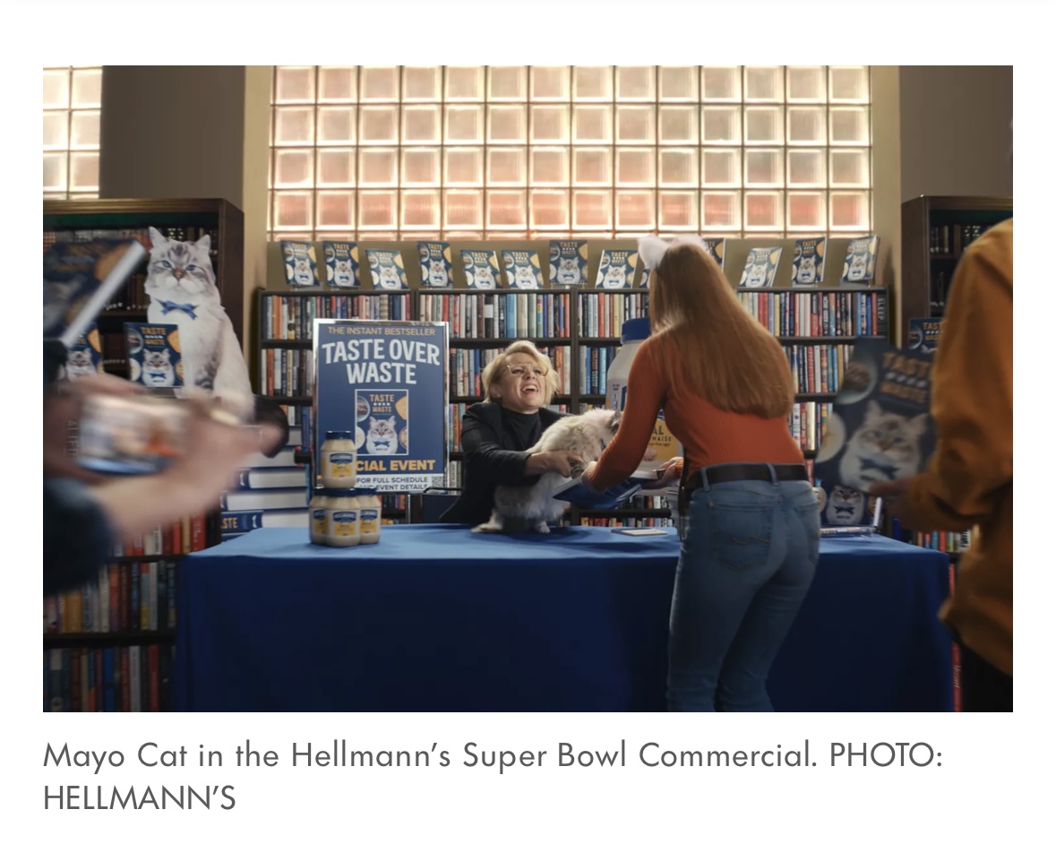 Super Bowl 58 Commercial - Hellmann's Mayo Cat - Diane Dehn